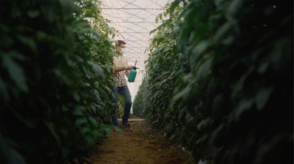 Forever Young with Dr. Pablo Prichard on NBC